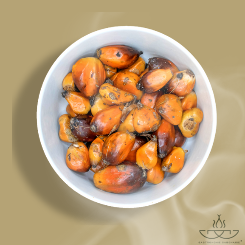 Du palmier à la noix de palme... que des vertus - Gastronomie Gabonaise